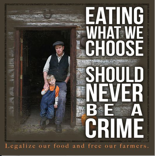 At Last, a Canadian Court Considers Legalizing Raw Milk - David Gumpert
